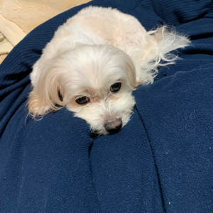 statusさんのポートフォリオ - Snapmart（スナップマート）